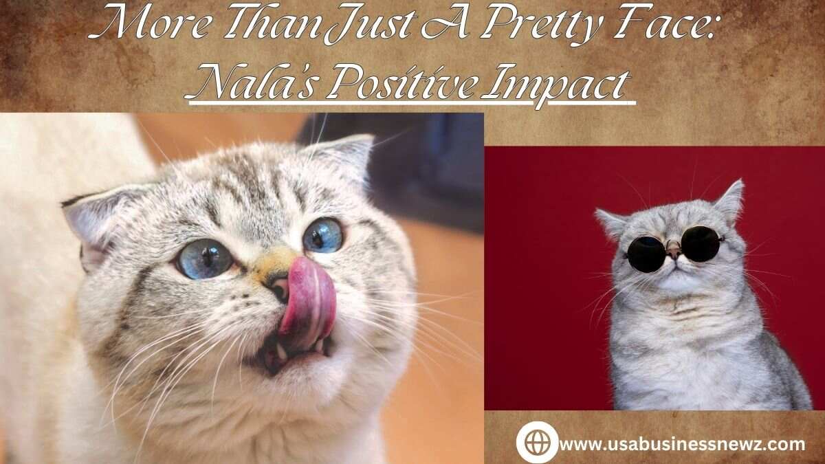 Meet Nala Cat: The Instagram Star With A Ton Of Fo - Tymoff